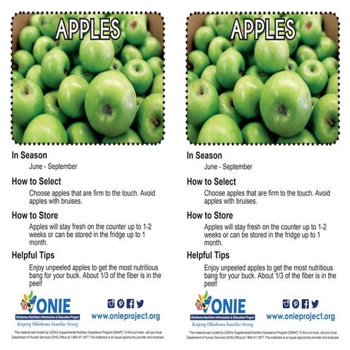 Apple Recipe Card | PDF