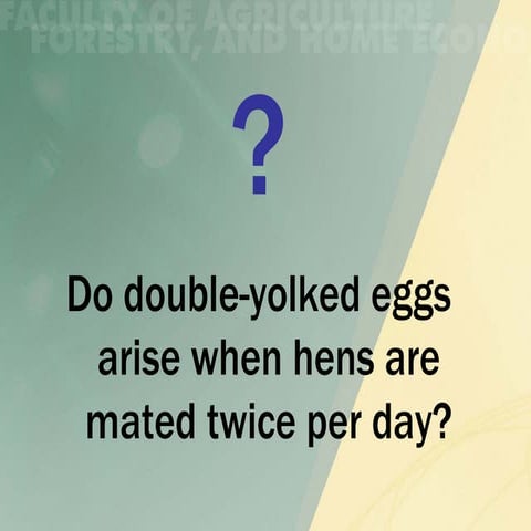 Do double-yolked eggs arise when hens are mated twice per day? | PPT