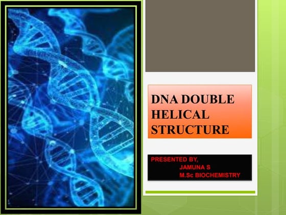 DNA structure - double helix structure | PPTX