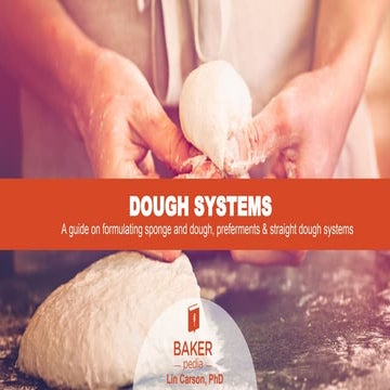 Dough Systems: a guide to formulating common systems | PDF