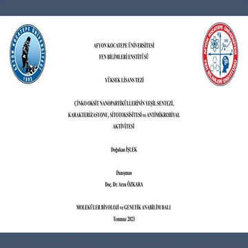 Doğukan İŞLEK Tez Sunumu.pdf