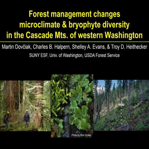 Forest management changes microclimate and bryophyte diversity in the ...