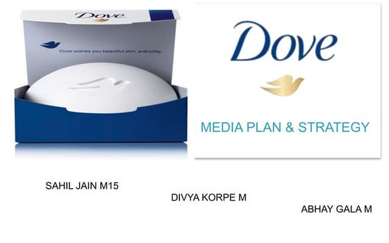 Assignment 1 Dove Target Audience | DOCX