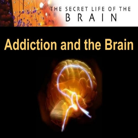 Down regulation and addiction-most updated | PPT