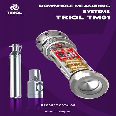 Downhole measuring-system-triol-tm01 | PDF