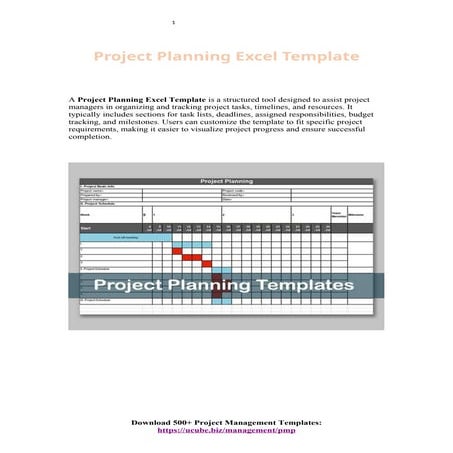 Download #1 Project Planning Excel Template.docx