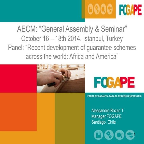 Alessandro Bozzo T. (FOGAPE) - Recent development of guarantee schemes ...