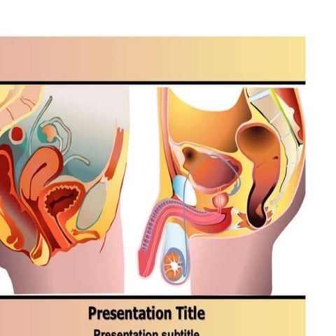 Download Prostate Cancer Powerpoint Templates Slideworldorg
