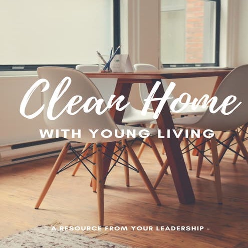 Clean Home Guide | PDF