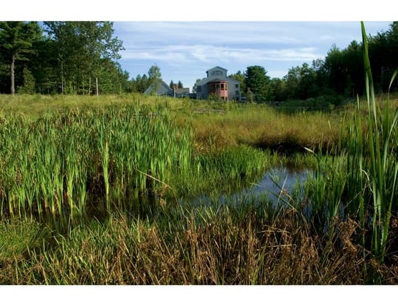 Doyle Conservation Plan | PDF