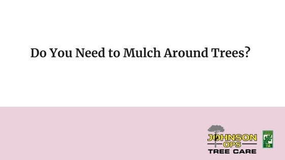 5 Benefits Your Garden Gets From Mulch.pdf