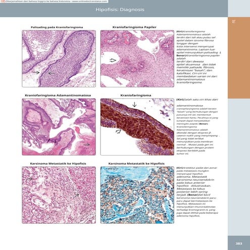 DP-Intraoperative Consultation-400-499.en.id.pdf