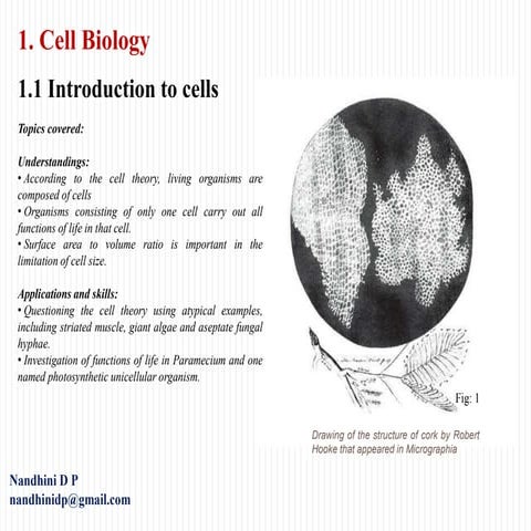 IB Diploma Program - Biology - Topic 1 Cell Biology | PPTX