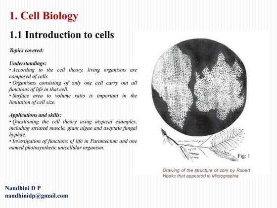 Biology (cells) grade 7 | PPTX
