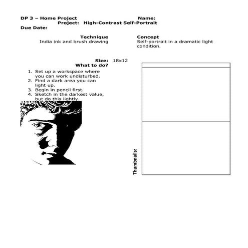 Dp3 hw hi-contrast self-portrait with image | PDF