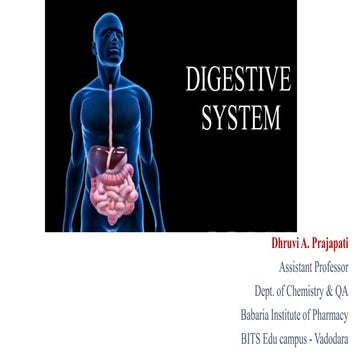 Anatomy and physiology of Digestive system | PPTX