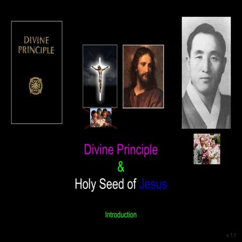 DP & The Holy Seed of Jesus | PDF