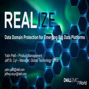 Data Domain Pretection for Big Data And Emerging Databases | PDF