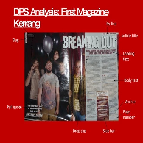 Dps Analysis | PPT | Desktop Publishing | Computer Software and Applications