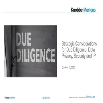 Data Privacy and IP Due Diligence | PDF