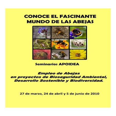 CONOCE EL FASCINANTE MUNDO DE LAS ABEJAS | PDF