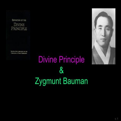 DP & Zygmunt Bauman | PDF