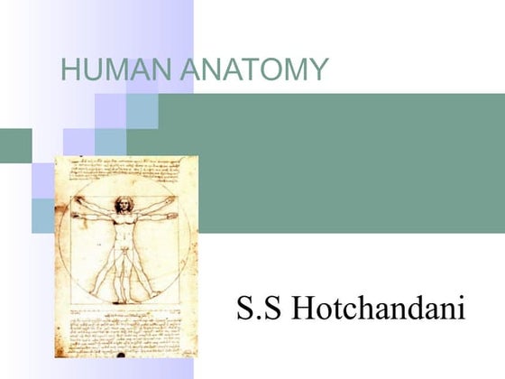 Албан хүсэлтийн загвар | PDF