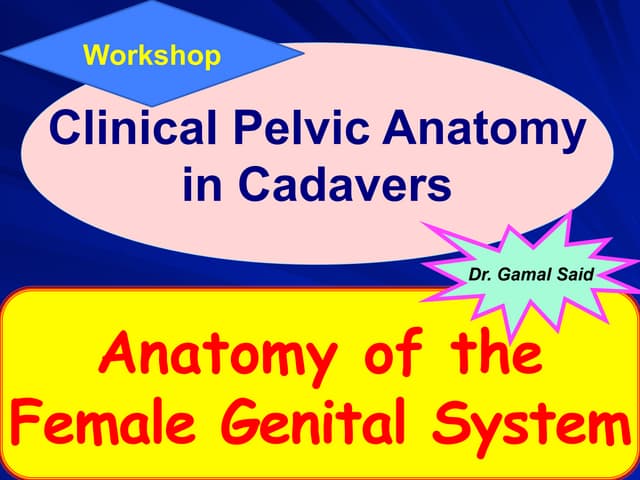 Gross Anatomy of Uterus | PPTX