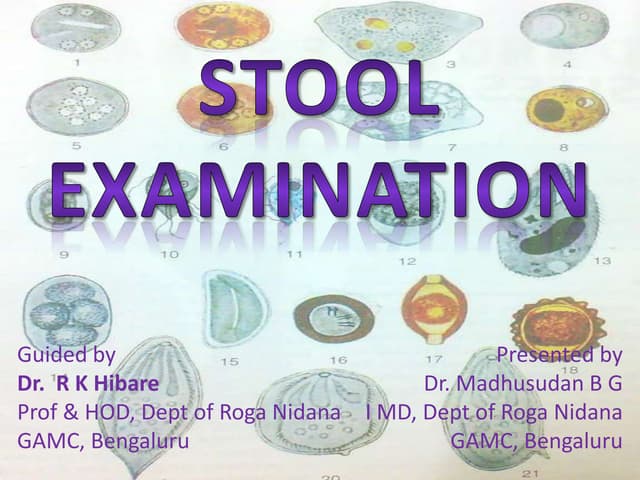 Concentration Techniques for stool examination .pptx | Digestive Disorders | Diseases and Conditions