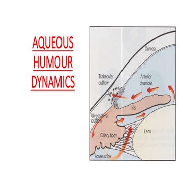 Dr.r.subramaniyan, 09 3-17,Aqueous Humour Dynamics | PPTX