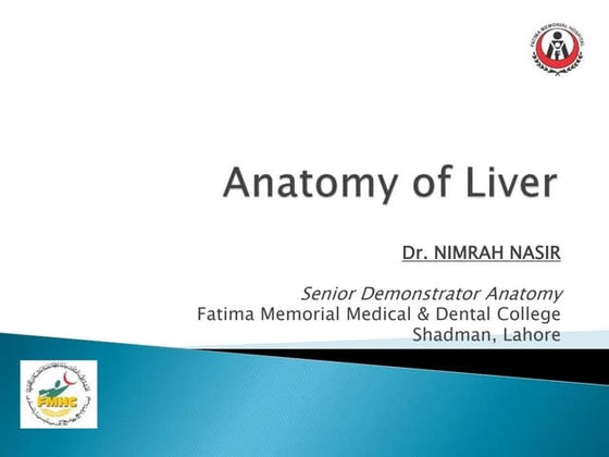 Liver anatomy | PPTX | Endocrine and Metabolic Diseases | Diseases and ...