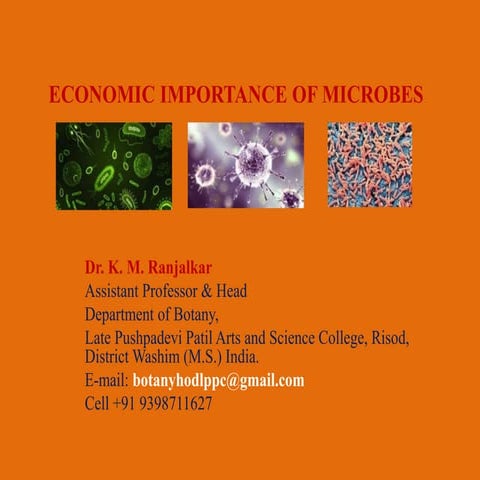 Economic importance of bacteria | PPTX