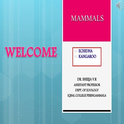 Dr. sheeja mammalia slide share | PPTX