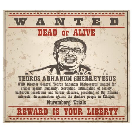 Dr. tedros adhanom ghebreyesus, who director general | PDF