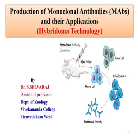 Monoclonal Antibodies and their applications | PPT