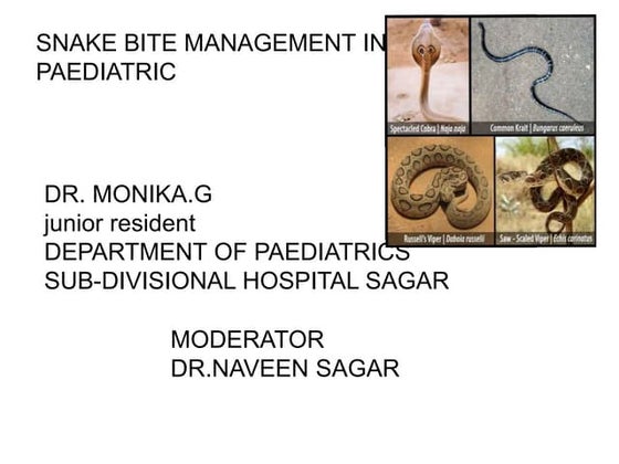 Snakebite | PPT | First Aid | Injuries