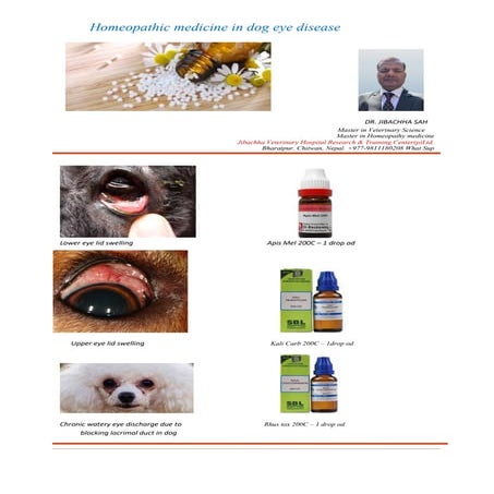 Homeopathy medicine in eye disease of dog. | PDF