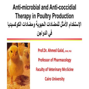 Anti-microbial and anti -coccidial therapy in poultry production | PDF
