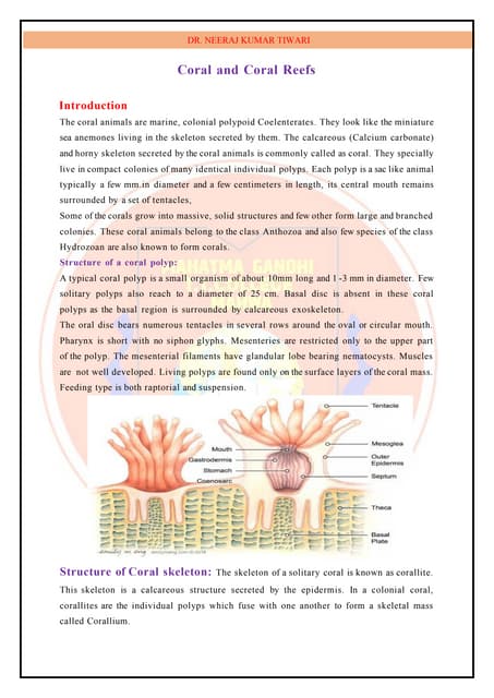 An Introduction to Coral Reefs | PPT