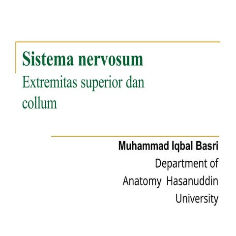 dr. Iqbal Sistema Nervosum Extremitas Superior dan Collum.pptx