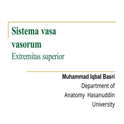 Anatomy sistem pada antebrachii-palmar | PPTX