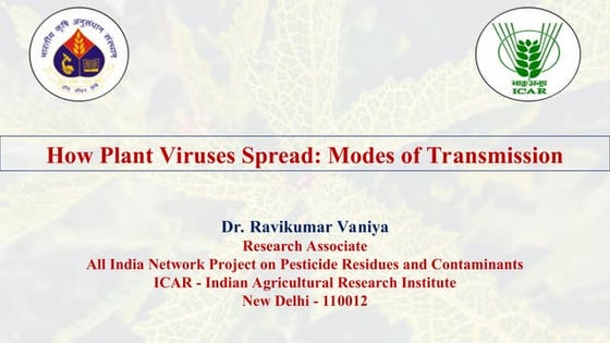 Transmission of plant viruses | PPTX | Gardening | Home & Garden