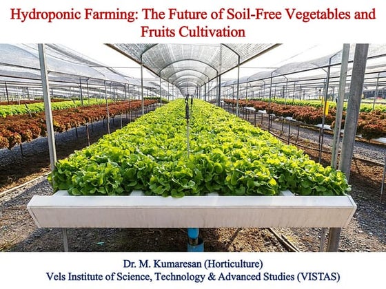 Hydroponics PPT.pdf