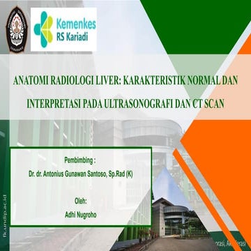 Anatomi Radiologi Liver: Karakteristik Normal dan Interpretasi ...
