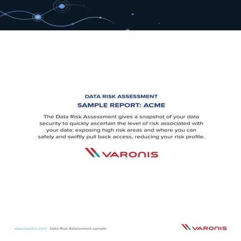 Sample of The Varonis Data Risk Assessment | PDF