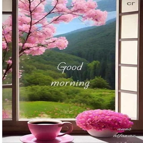 DRAF PROCEDURES FOR FRONTAnhgjgL SINUS.pptx