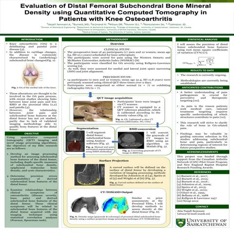 Evaluation of Distal Femoral Subchondral Bone Mineral Density using ...