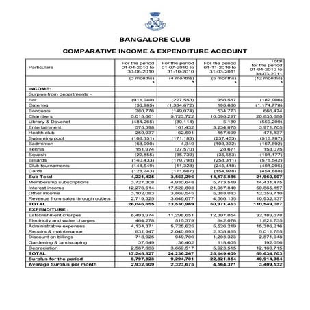Draft accounts | PDF