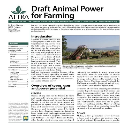 Draft Animal Power for Farming | PDF