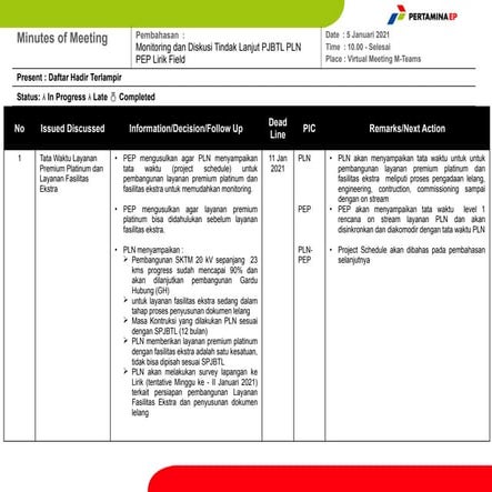 Draft MOM Meeting PEP-PLN 050120211.pptx